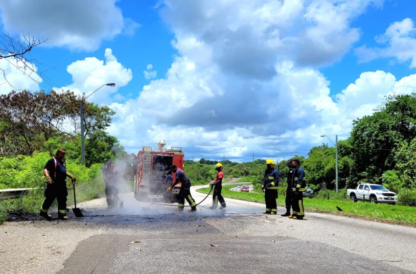 Scrap Iron Protest Along Solomon Hochoy Highway - AZP News